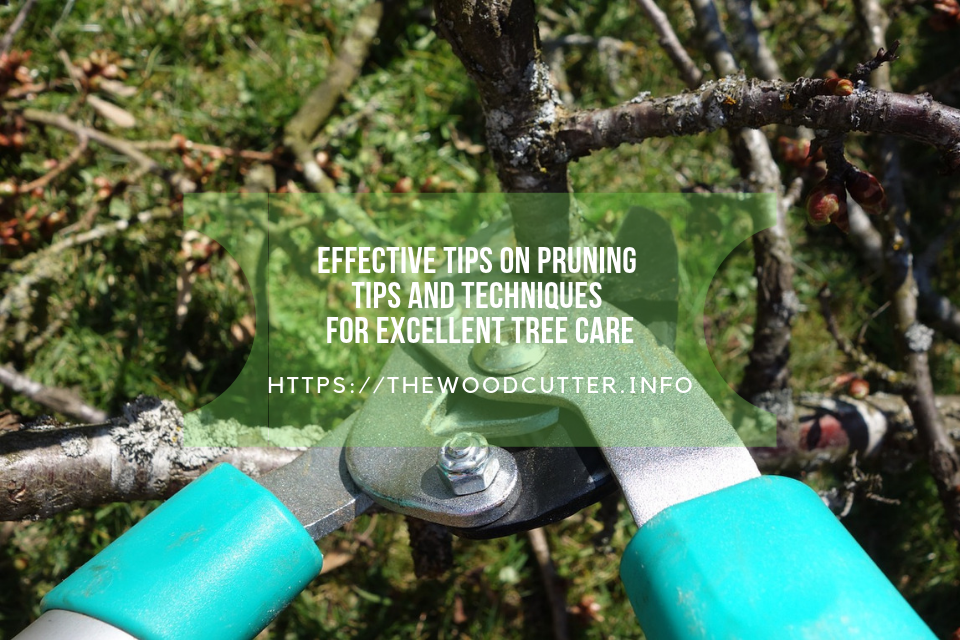 6 Best Hookaroon (Pickaroon) for Log Dragging/Woodworks