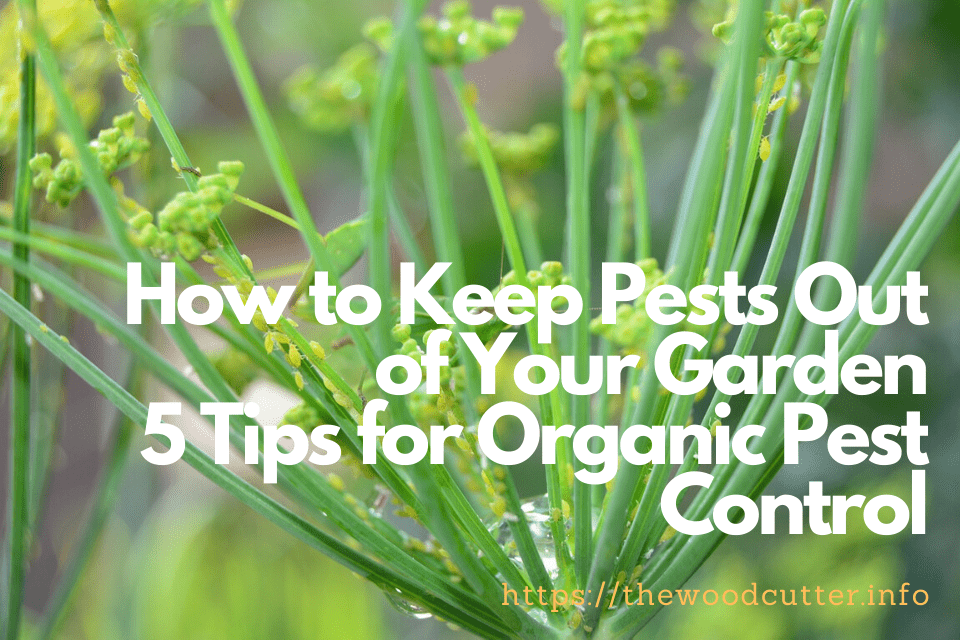 How to Keep Pests Out of Your Garden, 5 Tips for Organic Pest Control