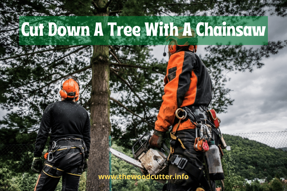 How to Safely Cut Down a Tree with a Chainsaw? The Complete Guide
