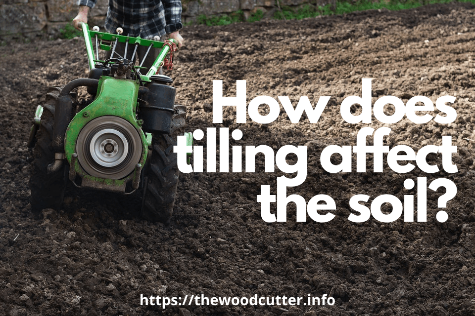 Best Garden Tools Blog | The Wood Cutter